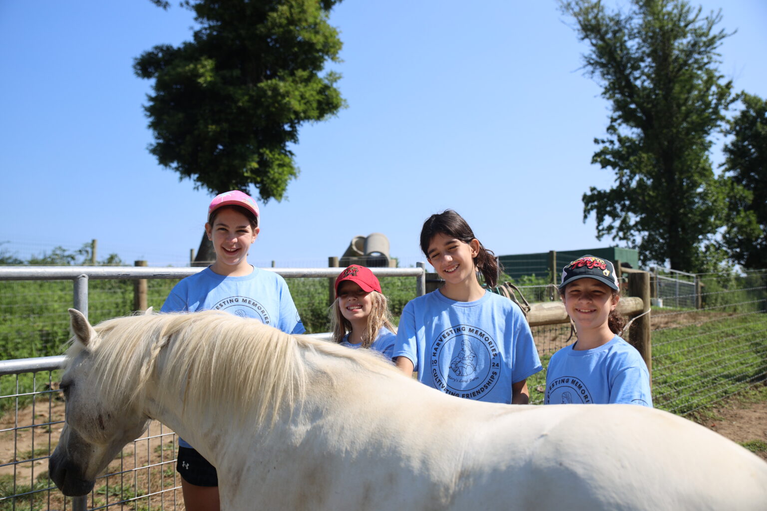 Camp Groups – Mary's Land Camp